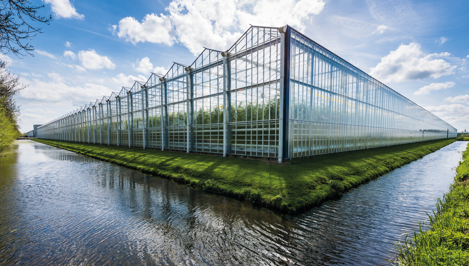 Venlo glasshouse